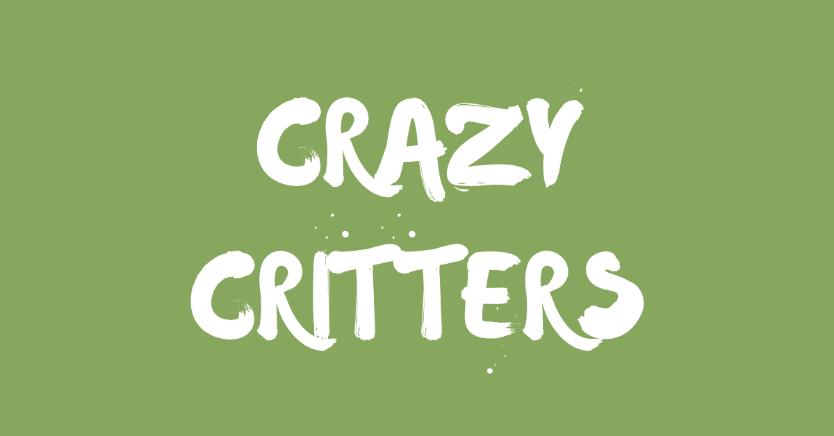 Home Delivery Service | Crazy Critters