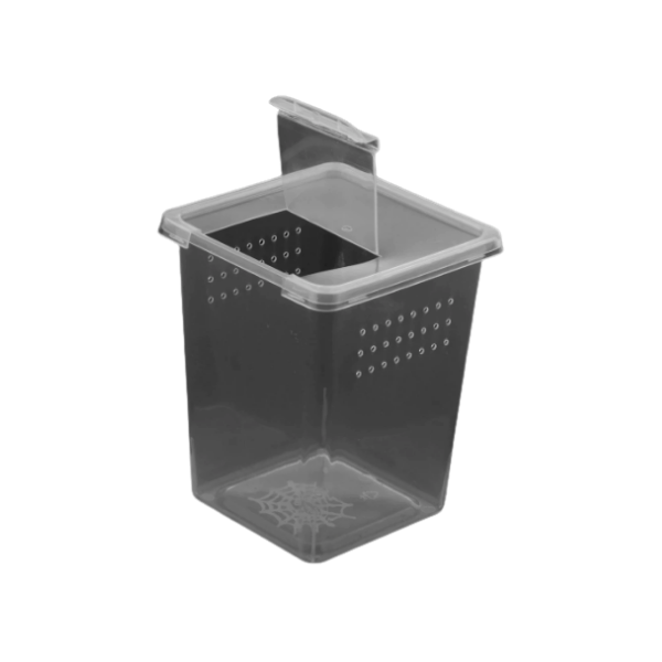 Crazy Critters | Ventilated Feeder Insect Storage Tubs FROM $0.99!