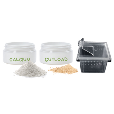 Buy Live Insects Online Australia | Reptile Insect Feeders | Crazy Cri ...